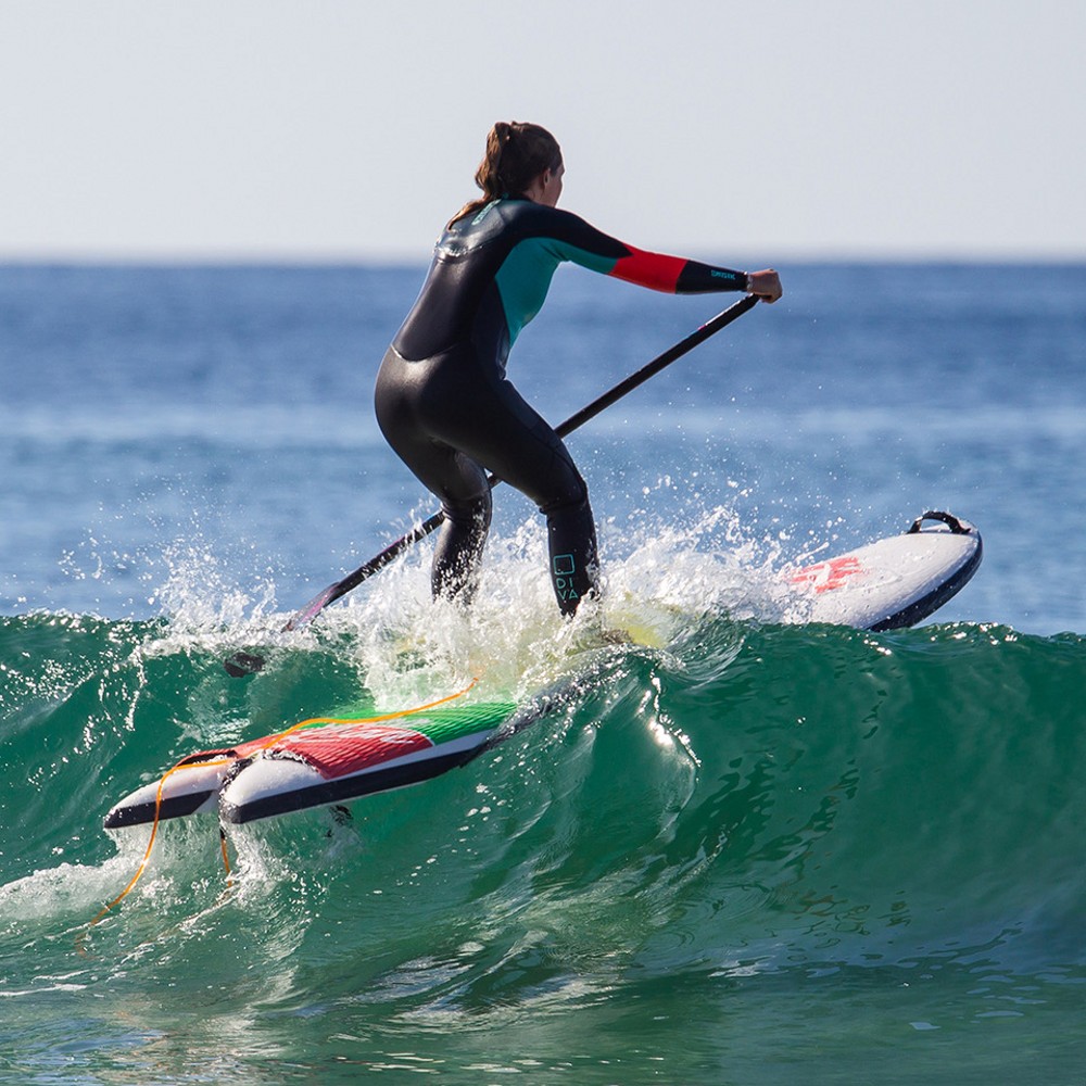 AHD-SEALION SUMMERBOARD 10' - WINDSURF- WINDSUP - WINGSUP - SUP - The ...